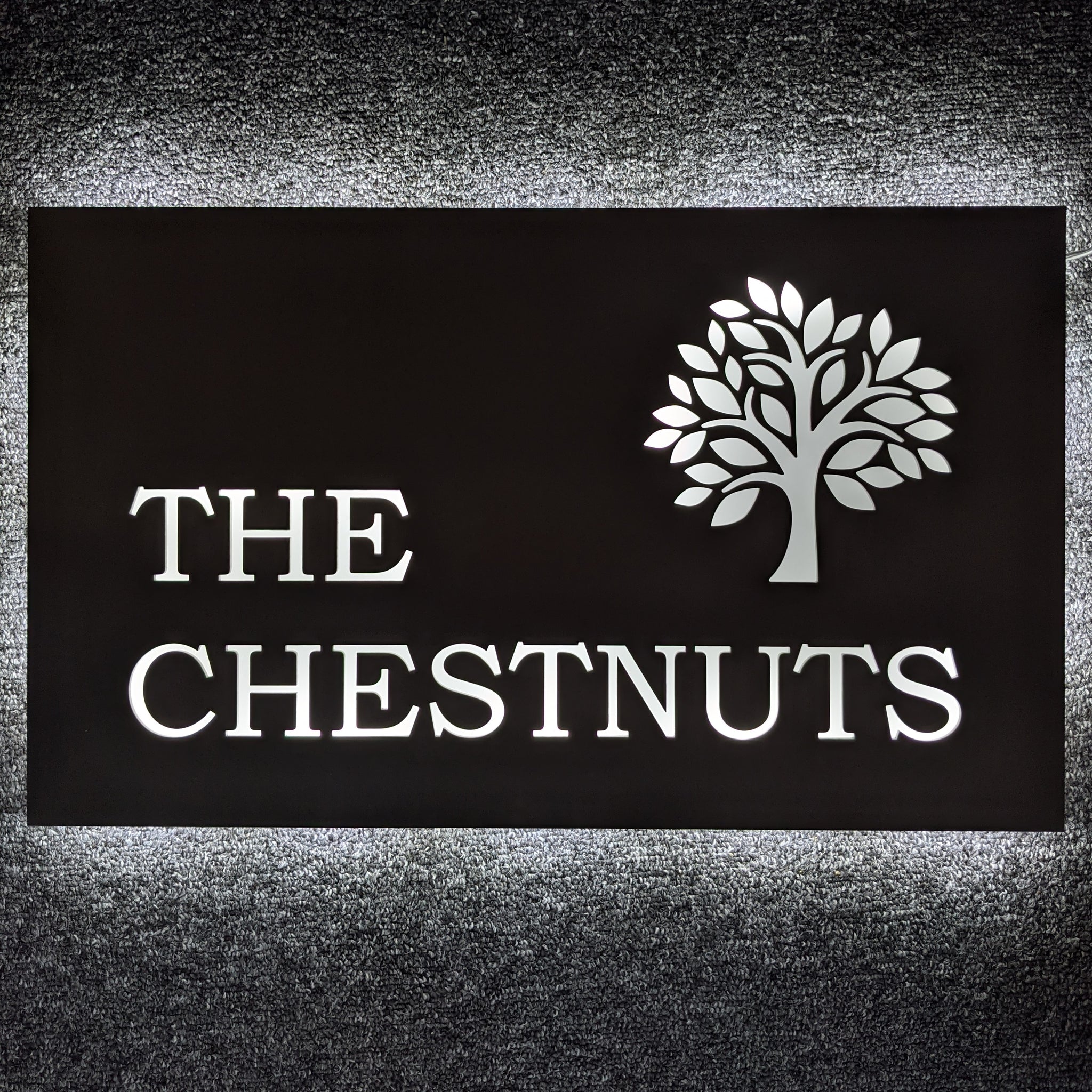 LED House Name in Stainless Steel – Housenumbers Limited